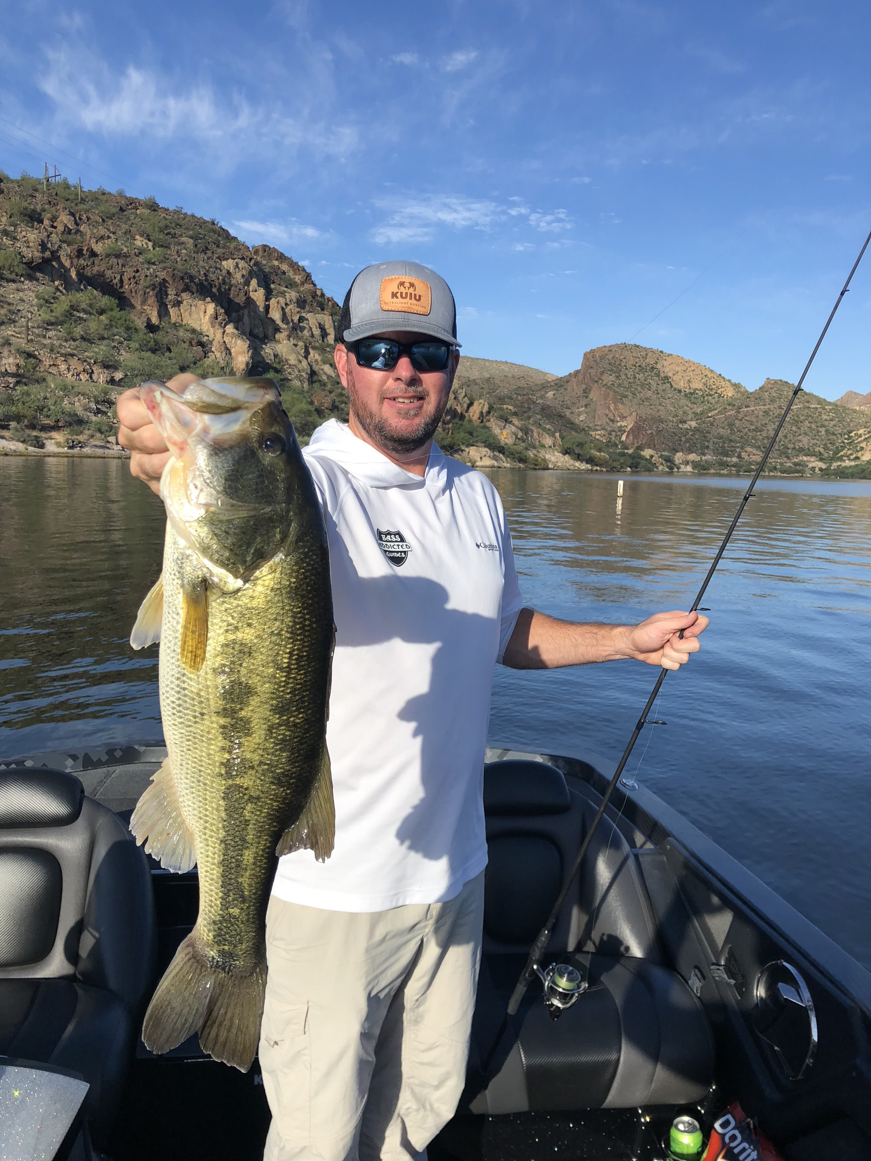 Best spring bass fishing baits in Phoenix - Addicted Bass Guides